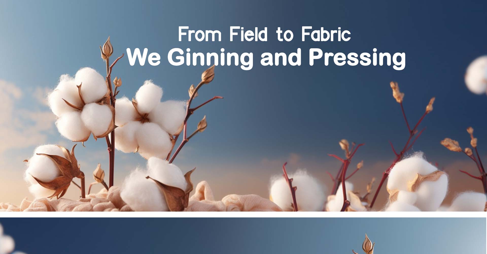 Earth Fibers and Naturals LLP
